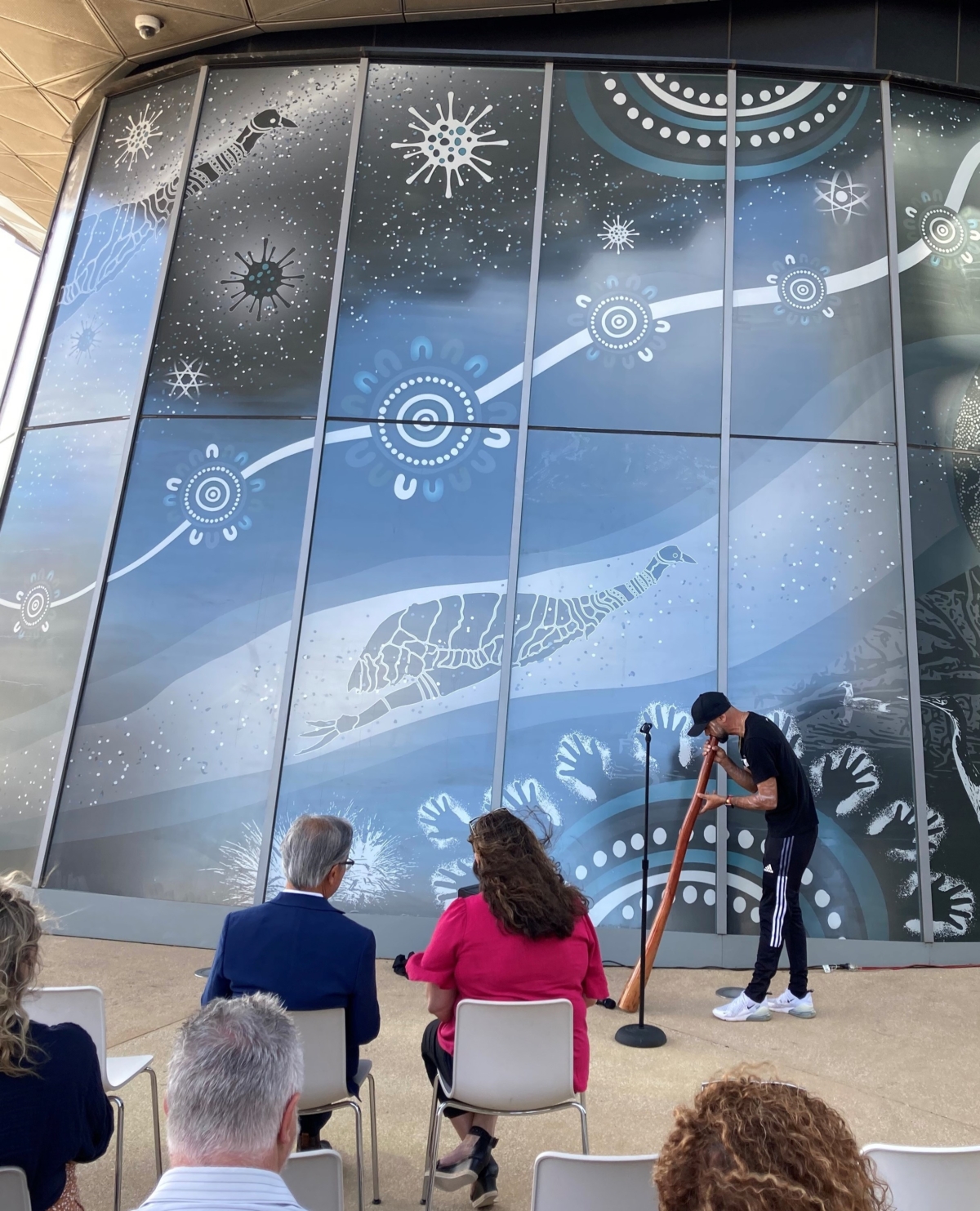 Wardlipari – Indigenous STEMM Mural at SAHMRI launched - Inspiring ...
